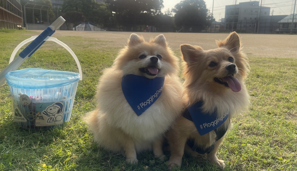 【レポ】プロギングドッグ 朝ん歩 | BLUE SHIP